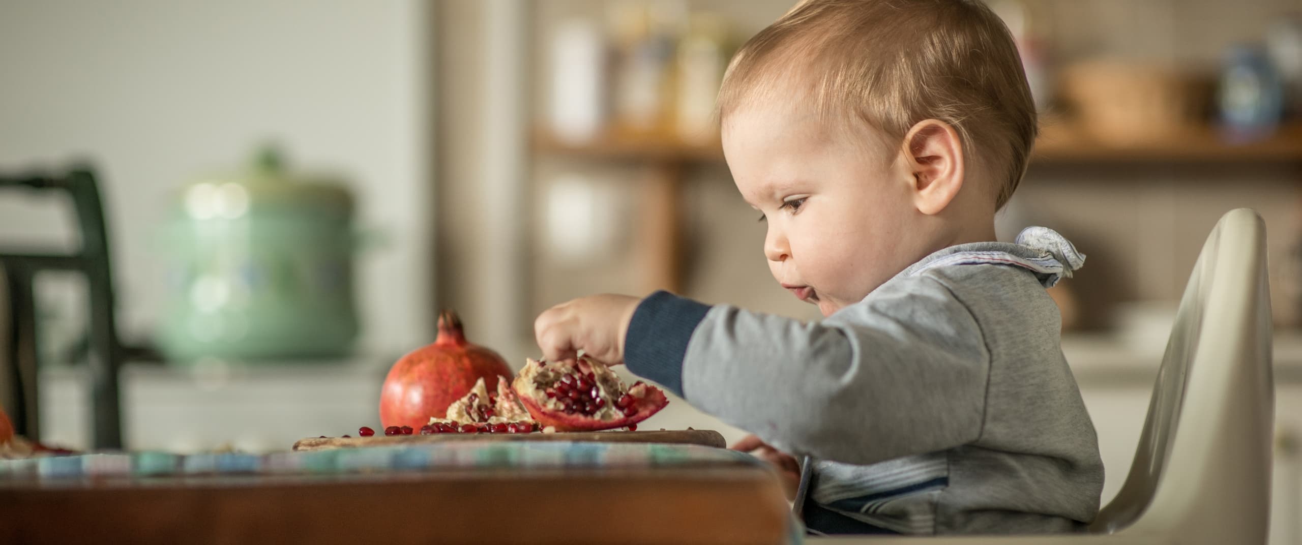 Functional Foods for Children: Gut, Brain & Immune Development | MILESTONE®