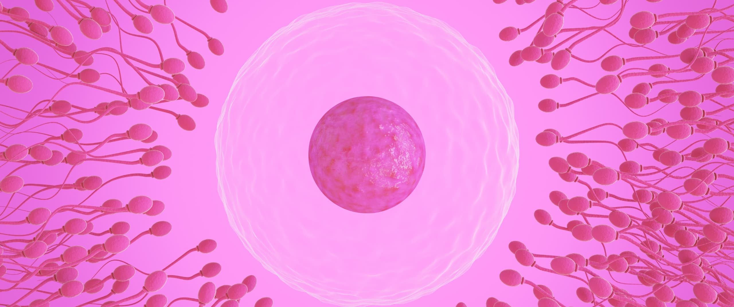 Functional Nutrition for Women’s Health and Fertility | MILESTONE®